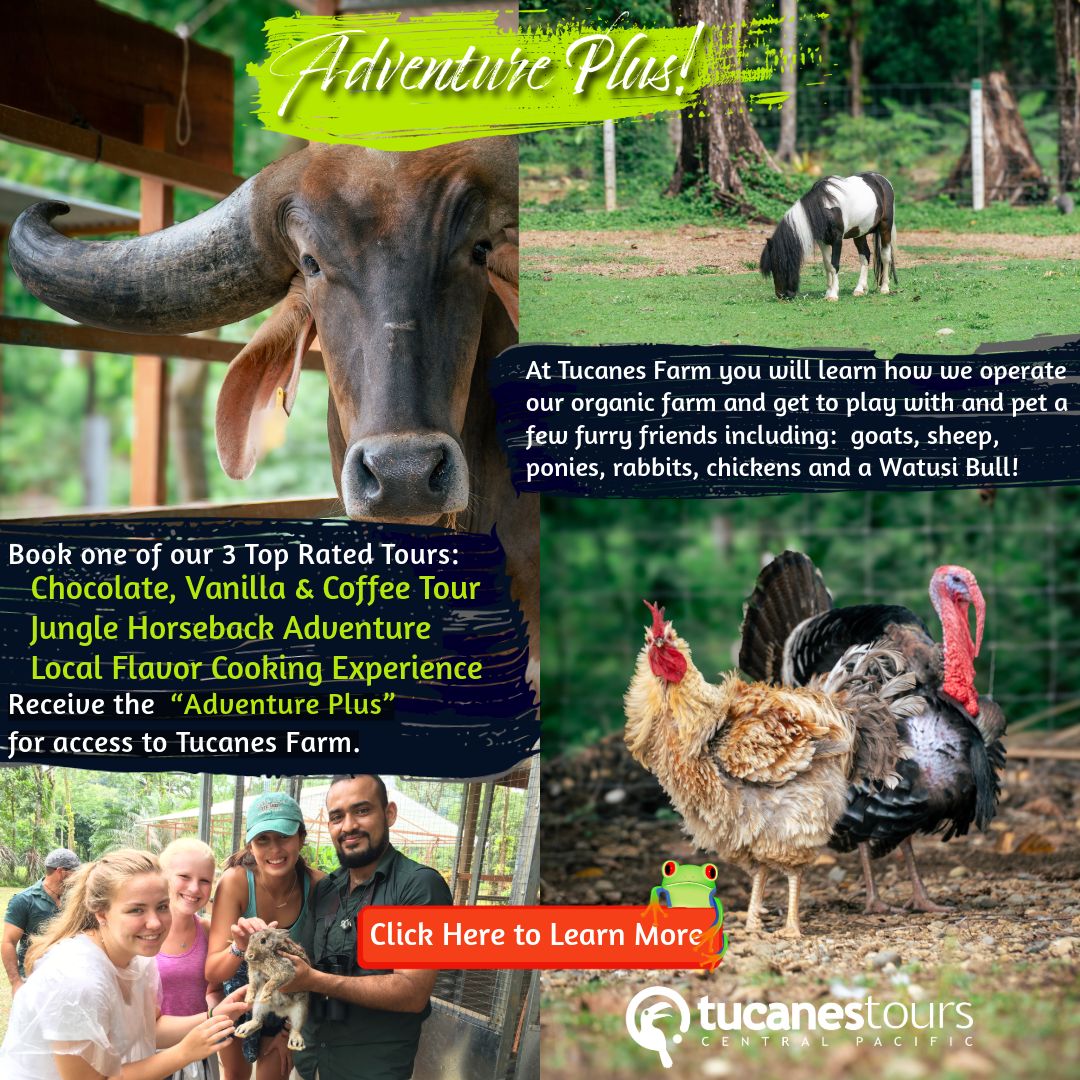 Discover Tucanes Tours & Adventure Plus: Enjoy the Ultimate Farm Experience